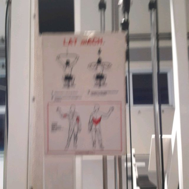 Lat Machine by Max Pet - Exercise How-to - Skimble