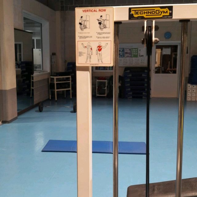 vertical row by Max Pet - Exercise How-to - Skimble