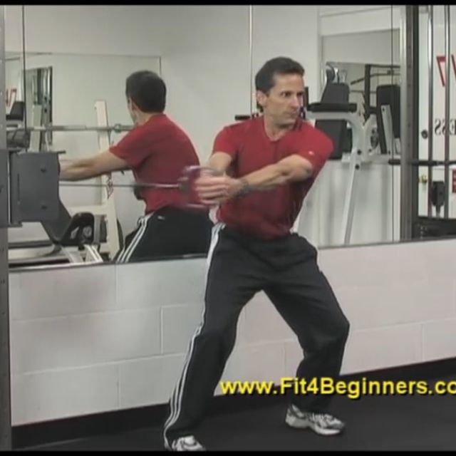 Cable Torso Rotation