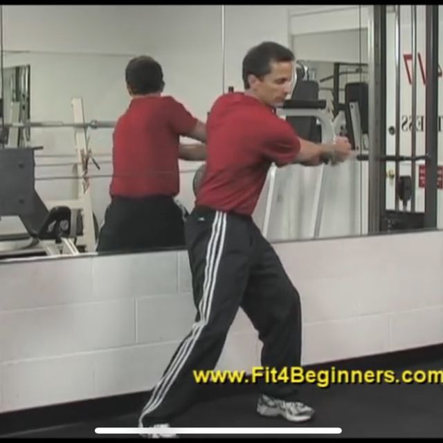 Cable Torso Rotation