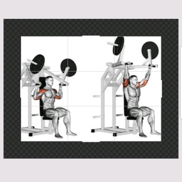 Shoulder Press by Kelly R. - Exercise How-to - Skimble