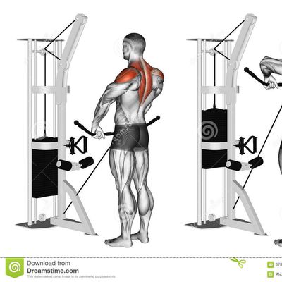 Cable Tricep Pull Down by Ryan Miller - Exercise How-to - Skimble