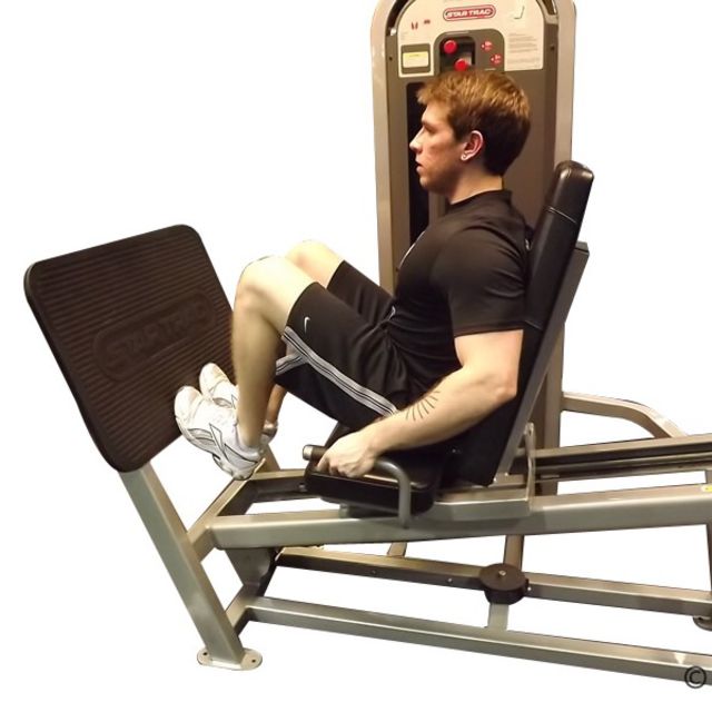 Calf Press por Ryan Miller - Ejercicio Cómo hacerlo - Skimble