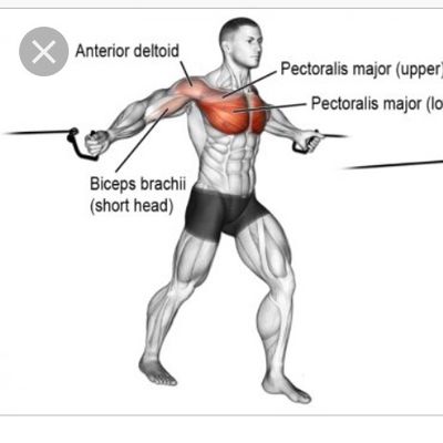 Dip Chest by Ftf40 Jan - Exercise How-to - Skimble