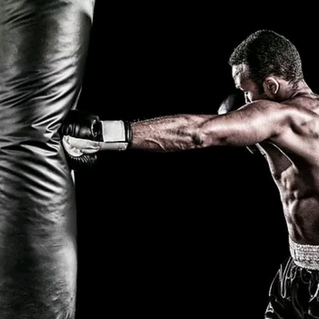 Boxing Combos 101 - Free Moderate Workout by David N. - Skimble