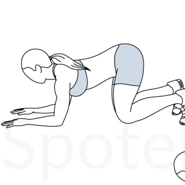Knee Elbow Press by Sonia R. - Exercise How-to - Skimble