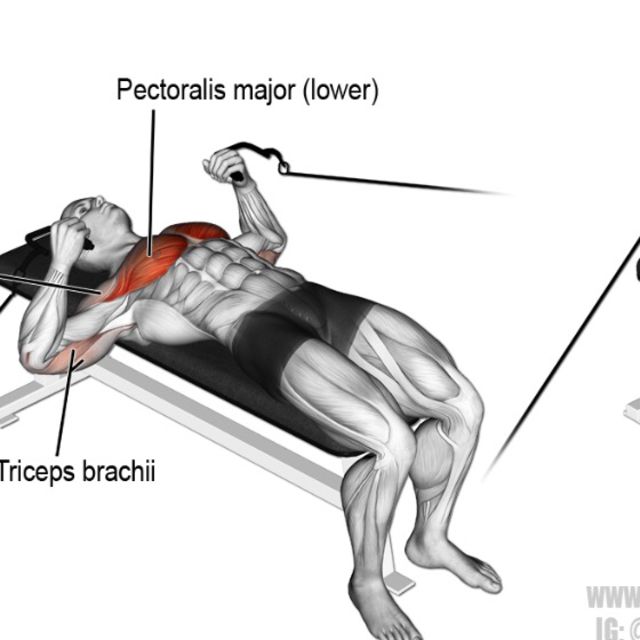 Right Cable Press by Paul Sholar - Exercise How-to - Skimble