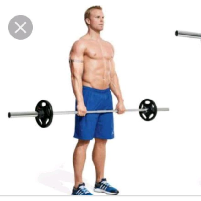 Curl Con Barra by Alejandro K. - Exercise How-to - Skimble