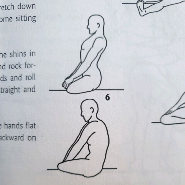 6 by Eman Borg - Exercise How-to - Skimble Workout Trainer