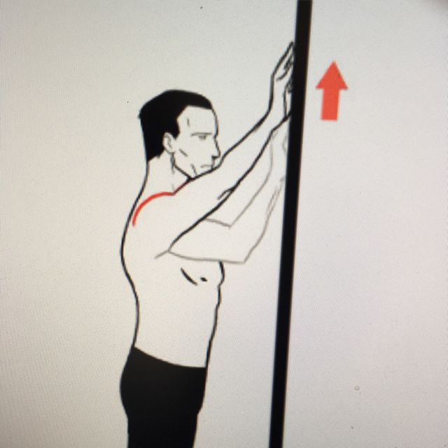 Wall Slide by Grant X. - Exercise How-to - Skimble