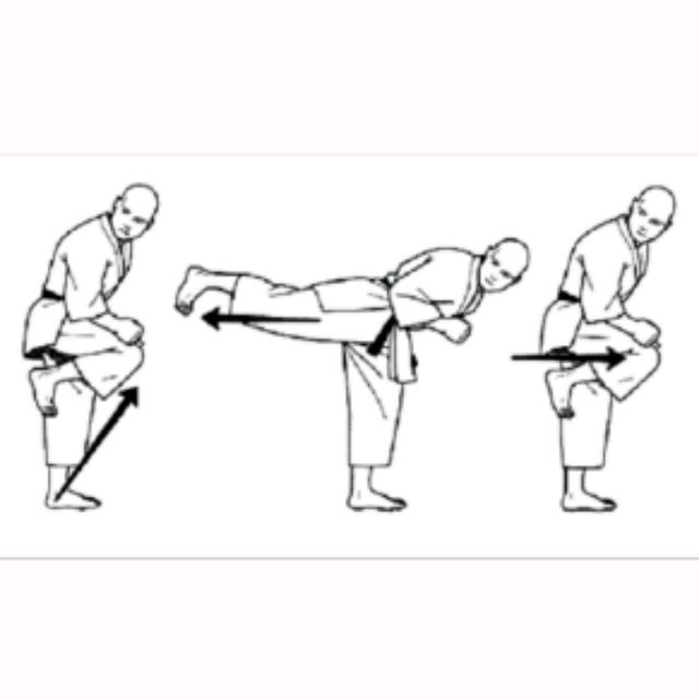 Direct Back Kick (Ushiro Geri) by Bernadette C. - Exercise How-to - Skimble