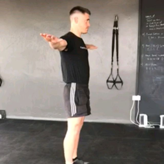 Internal/External Rotations (Shoulder Height) por Elisabetta B ...