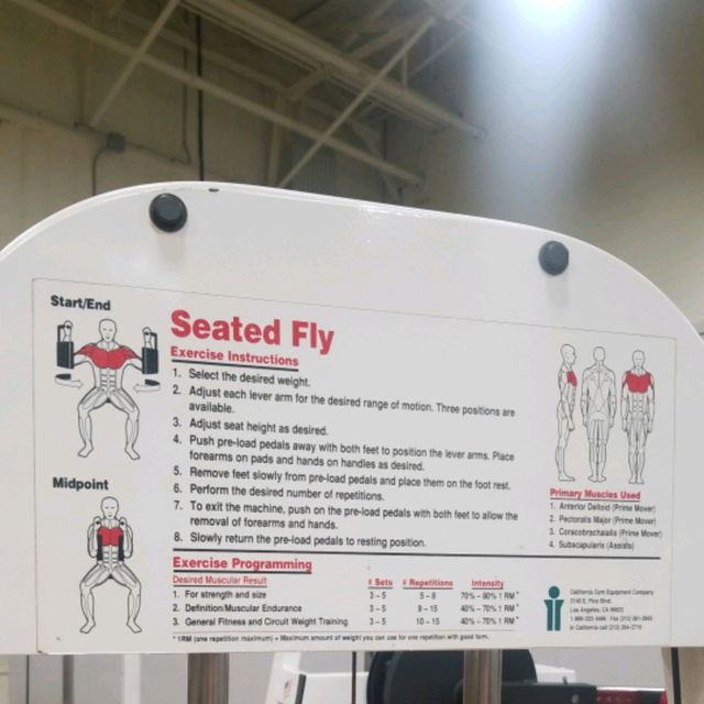 Seated Fly by Shelby Burke - Exercise How-to - Skimble
