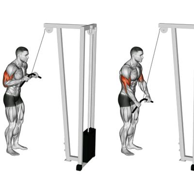 Frontal Fly by Marcus Frois - Exercise How-to - Skimble