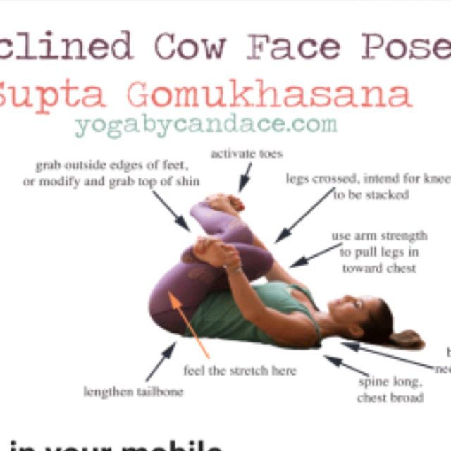 RECLINED COW FACE POSE by 𝔻𝕖𝕤𝕖𝕣𝕥 𝔽𝕠𝕩🦊 🌟 - Exercise How-to - Skimble