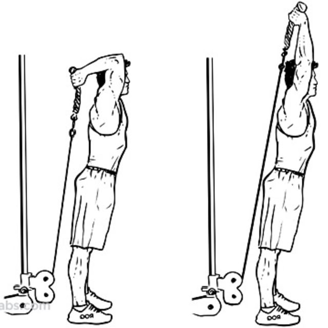 Low cable tricep rope extension by Adele A. - Exercise How-to - Skimble