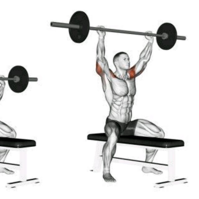 Military Press by Robster C - Exercise How-to - Skimble