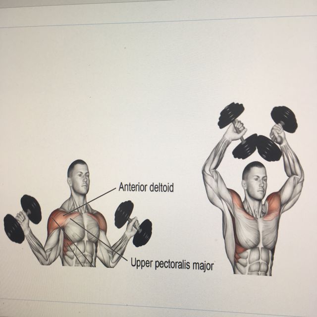 Dumbbell W Press by Grant X. - Exercise How-to - Skimble