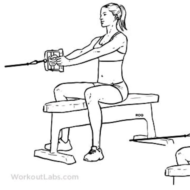 Low Seated Cabel Row by Tabitha Moore - Exercise How-to - Skimble