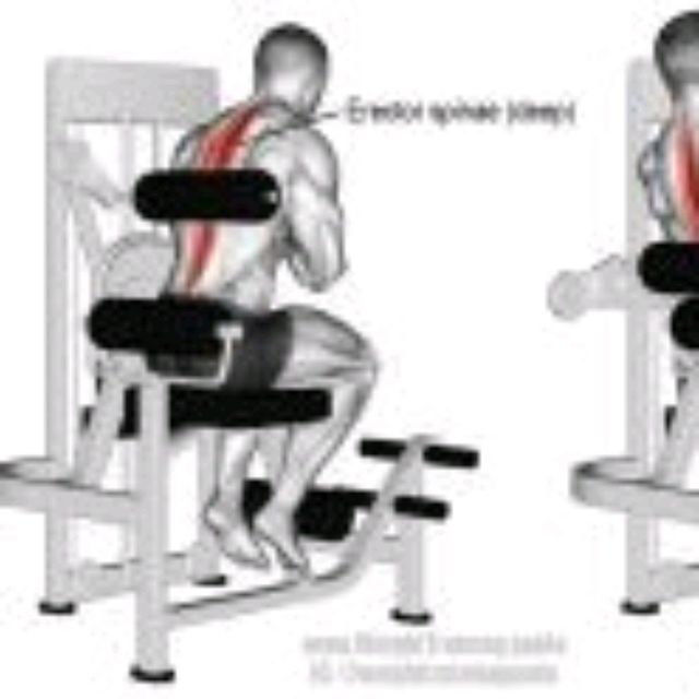 Machine Back Extensions by Tabitha Moore - Exercise How-to - Skimble
