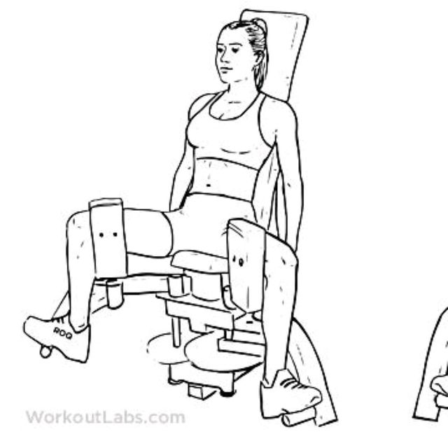Adductor Machine by Tabitha Moore - Exercise How-to - Skimble