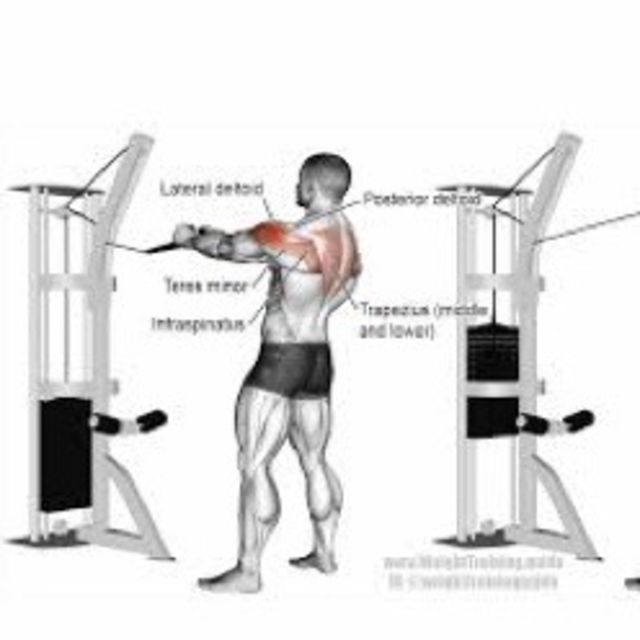 Mid Cable Face Pull by Adele A. - Exercise How-to - Skimble