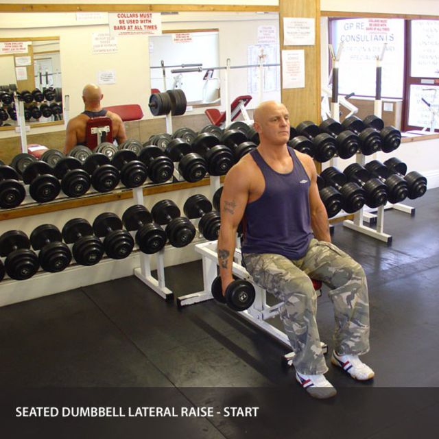 Seated Lateral Raise by Jacov Halsey - Exercise How-to - Skimble