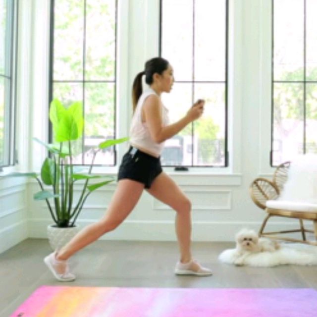 Split Lunge Double Pulses by Shew F. - Exercise How-to - Skimble