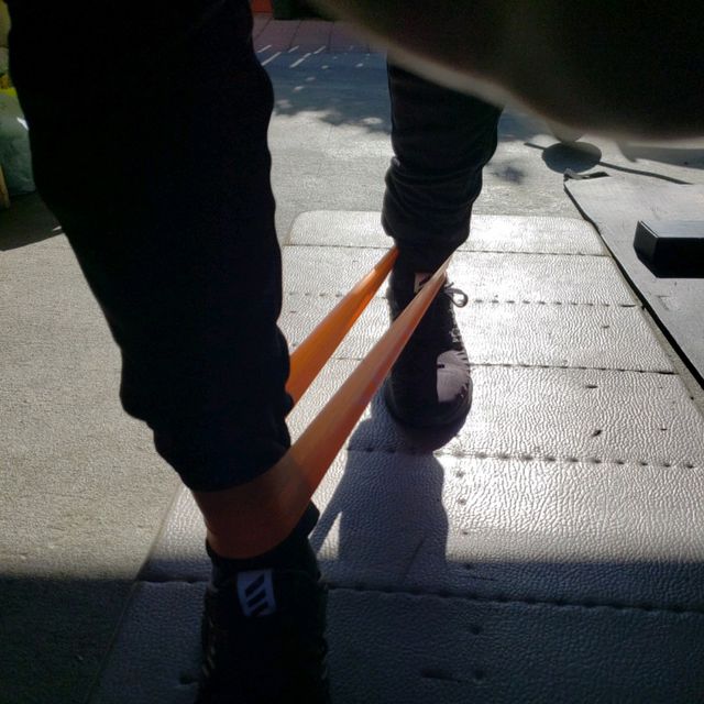 Banded Walks by "perro" 🐈 . - Exercise How-to - Skimble