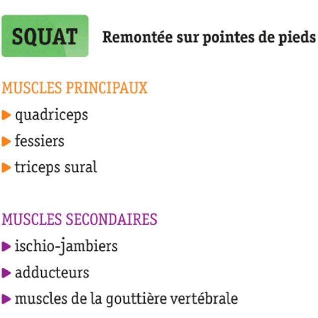 Squat Remonter Sur La Pointe TRX by Anthony Dubs - Comment faire de l ...