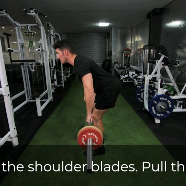 Bent Over BB Row by Danielle Ahler - Exercise How-to - Skimble