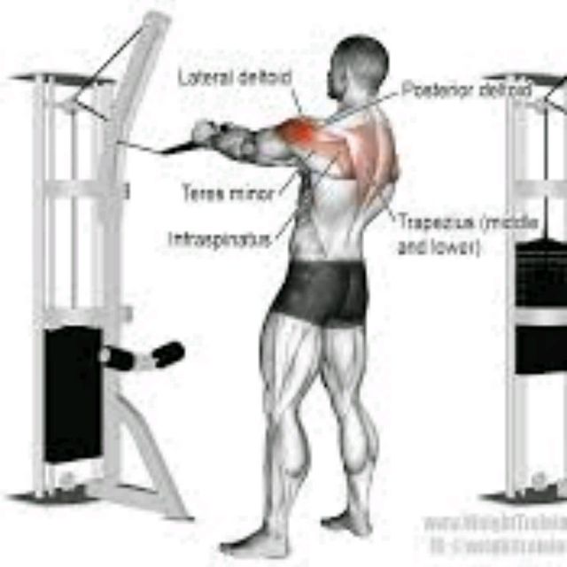 Face Pulls by Markus Rotter - Exercise How-to - Skimble