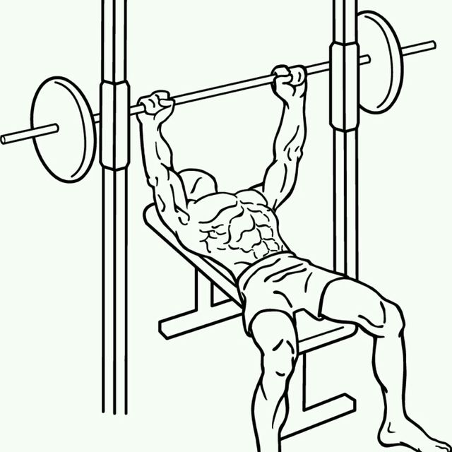 Smith Machine Bench Press by Ozan Civan - Exercise How-to - Skimble