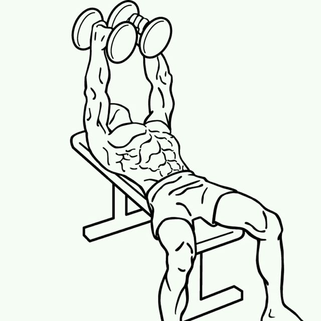 Flat Bench Dumbbell Fly by Ozan Civan - Exercise How-to - Skimble