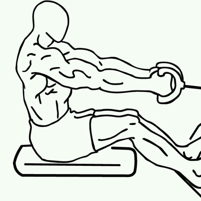Seated Row by Ozan Civan - Exercise How-to - Skimble