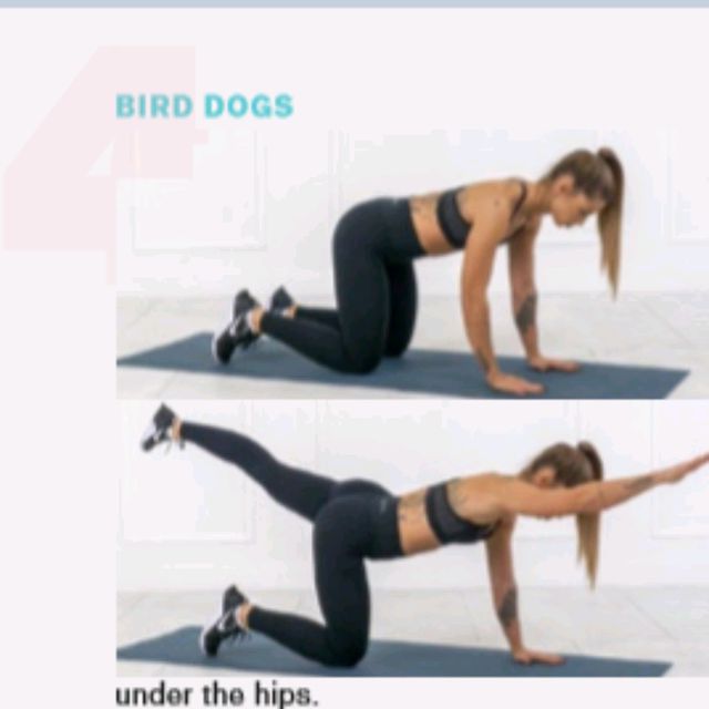 Bird Dog 28 Day by Lily Rinehart-mann - Exercise How-to - Skimble