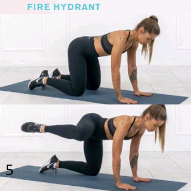 Fire Hydrant Both Sides by Lily Rinehart-mann - Exercise How-to - Skimble