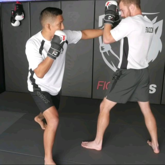 Switch Jab + Kick by Bernadette C. - Exercise How-to - Skimble