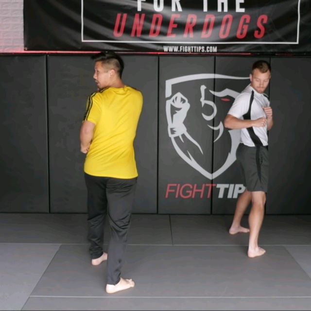 Wheel Kick - Spinning Hook Kick by Bernadette C. - Exercise How-to ...