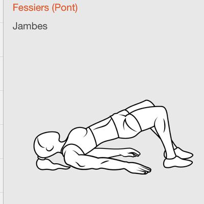 Exercice De Pont Fessier