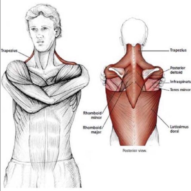 Wrap Around Shoulder Stretch by Martin B. - Exercise How-to - Skimble