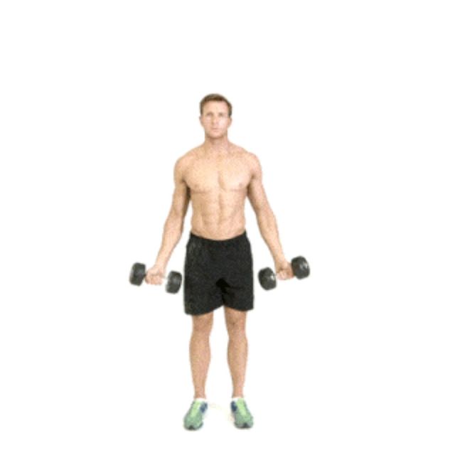 Dumbbell Scaption by Zoran Antic - Exercise How-to - Skimble
