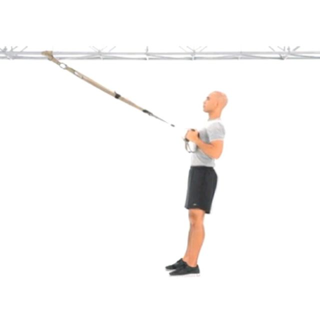 Trx Squat Row Level 2 by Alex 🌊. - Exercise How-to - Skimble