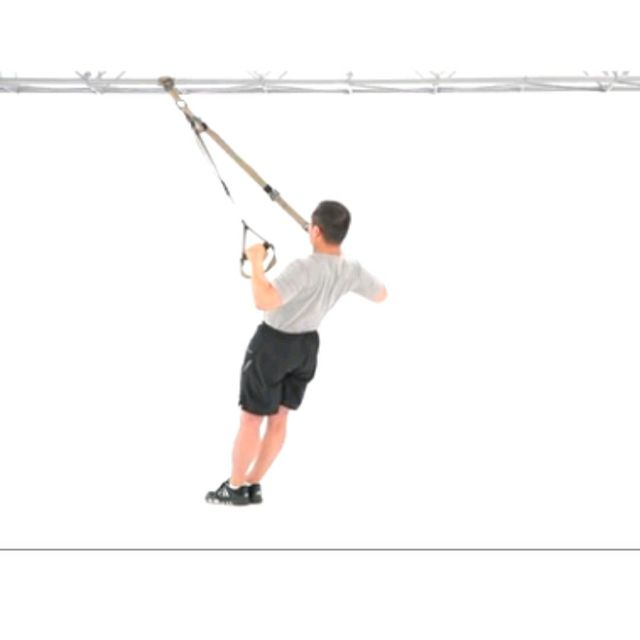 Trx Row Series Low/Medium/High Level 3 por Alex 🌊. - Ejercicio Cómo ...