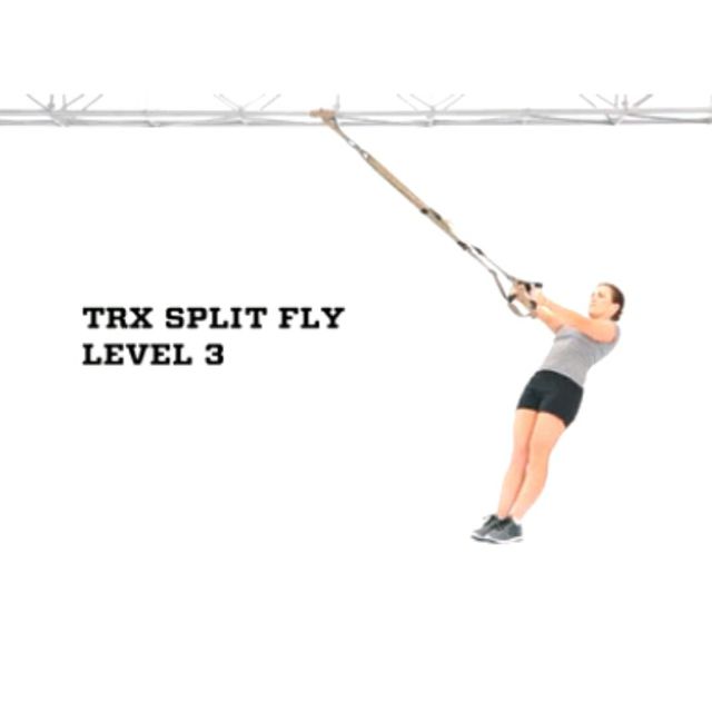 Trx Split Fly Level 3 by Alex 🌊. - Exercise How-to - Skimble