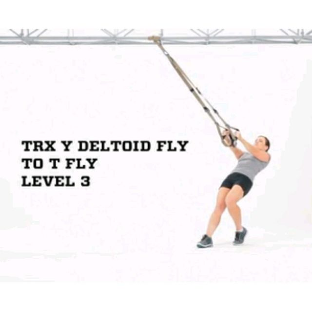 Trx Y Deltoid Fly To T Fly by Alex 🌊. - Exercise How-to - Skimble