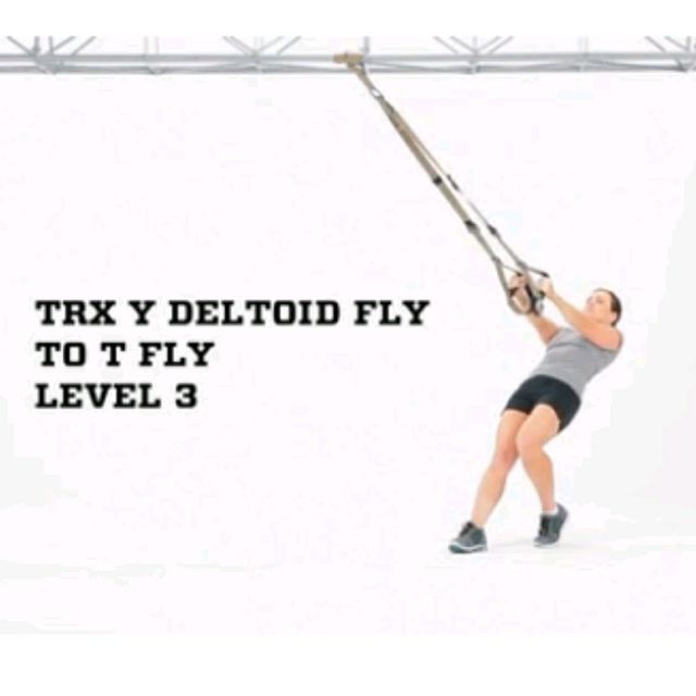 Trx Y Deltoid Fly To T Fly by Alex 🌊. - Exercise How-to - Skimble