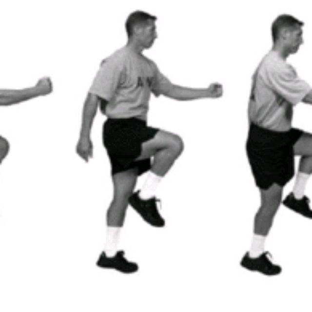 Verticals by Maria I. - Exercise How-to - Skimble Workout Trainer