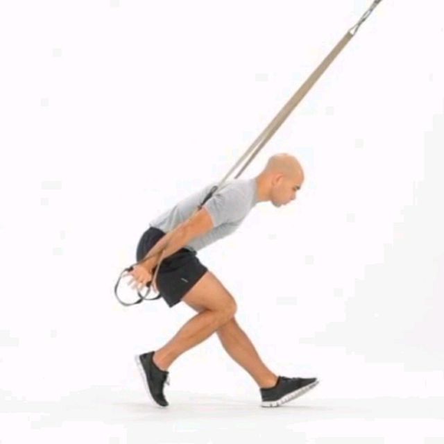 TRX Pull Press by Alex 🌊. - Exercise How-to - Skimble