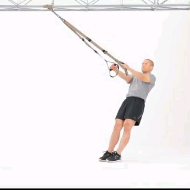 TRX Low Row To Biceps Curl To Y Fly by Alex 🌊. - Exercise How-to - Skimble